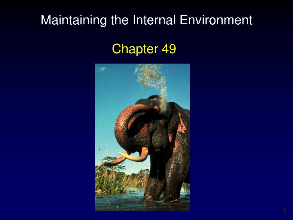 PPT - Maintaining the Internal Environment PowerPoint Presentation ...