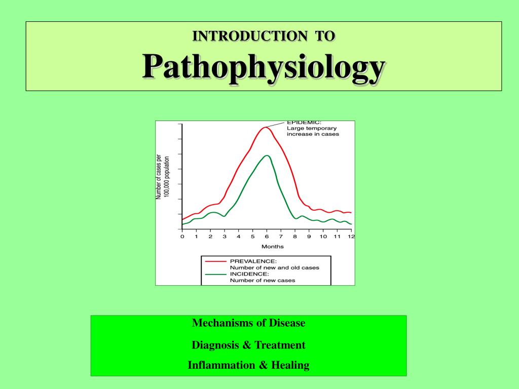 PPT - INTRODUCTION TO Pathophysiology PowerPoint Presentation, free ...