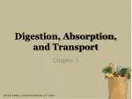 PPT - Physiology of Digestion and Absorption 2 PowerPoint Presentation ...