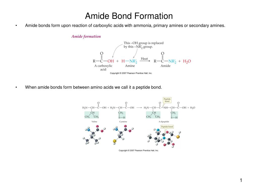 PPT - Amide Bond Formation PowerPoint Presentation, free download - ID ...