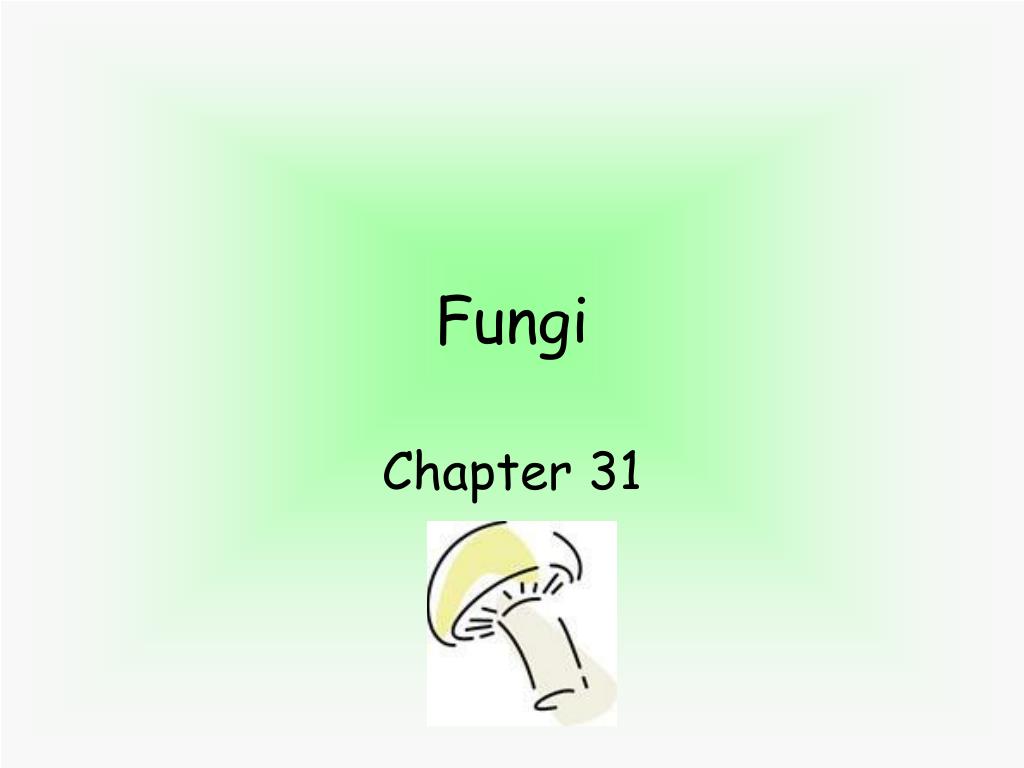 PPT - Fungi PowerPoint Presentation, free download - ID:608972