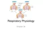 PPT - Respiratory Physiology PowerPoint Presentation, free download ...