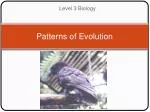 PPT - Patterns In Evolution PowerPoint Presentation, free download - ID ...