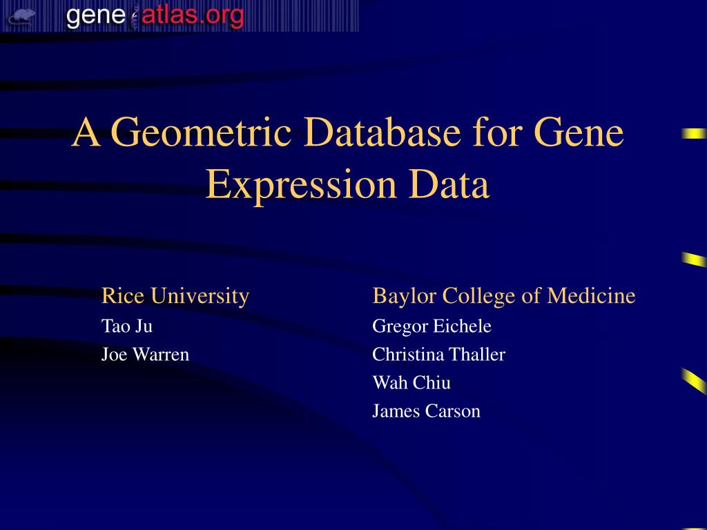 PPT - A Geometric Database for Gene Expression Data PowerPoint ...