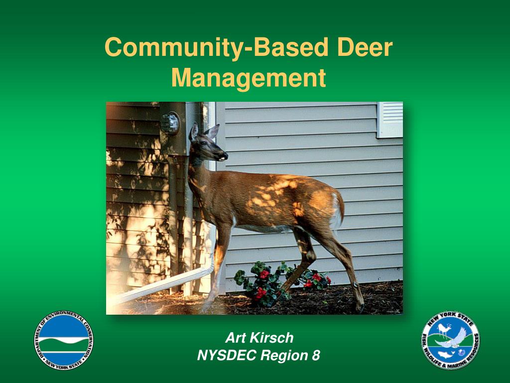 PPT - Community-Based Deer Management in NY: Addressing Challenges and ...