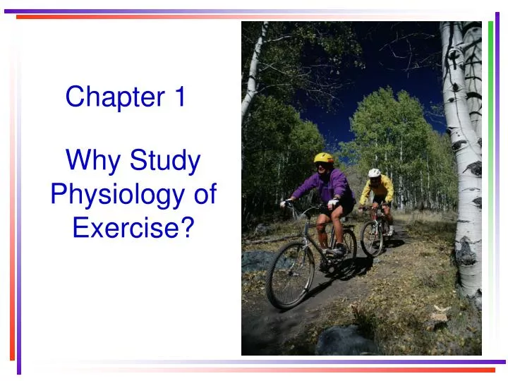 PPT Chapter 1 PowerPoint Presentation Free Download ID 614744