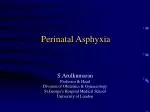 PPT - ASPHYXIA NEONATORUM PowerPoint Presentation, free download - ID ...