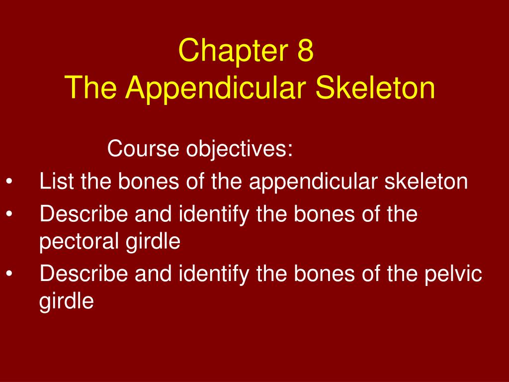PPT - Appendicular Skeleton: Bones, Girdles, and Attachments PowerPoint ...