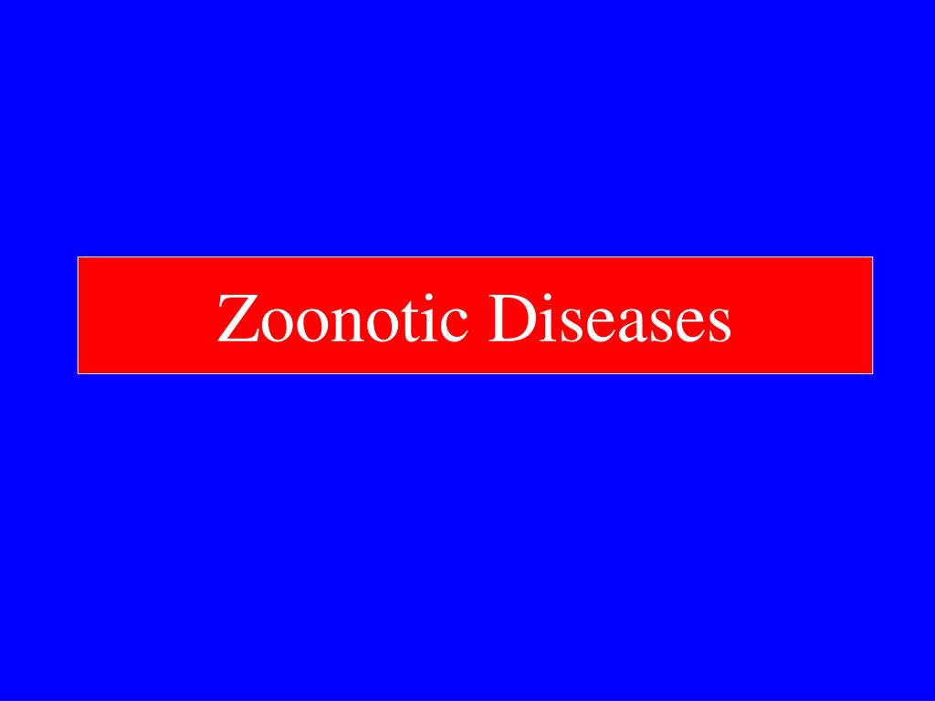PPT - Zoonotic Diseases PowerPoint Presentation, free download - ID:61509