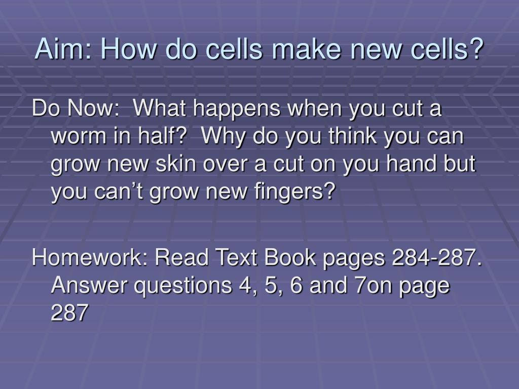 PPT - Aim: How do cells make new cells? PowerPoint Presentation, free ...