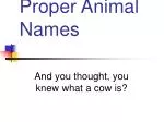 PPT - Proper Animal Restraint PowerPoint Presentation, free download ...
