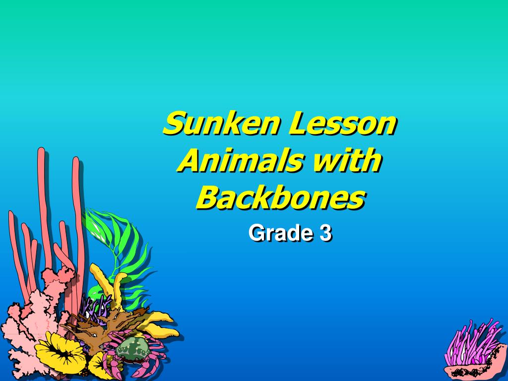 PPT - Sunken Lesson Animals with Backbones PowerPoint Presentation ...