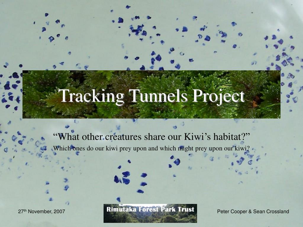 PPT - Turere Tracking Tunnel Project for Kiwi Conservation PowerPoint ...