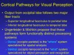 PPT - Perceptual systems: Central visual pathways PowerPoint ...