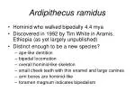 PPT - Ardi Ardipithecus ramidus PowerPoint Presentation, free download ...