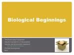 PPT - Biological Beginnings PowerPoint Presentation, free download - ID ...