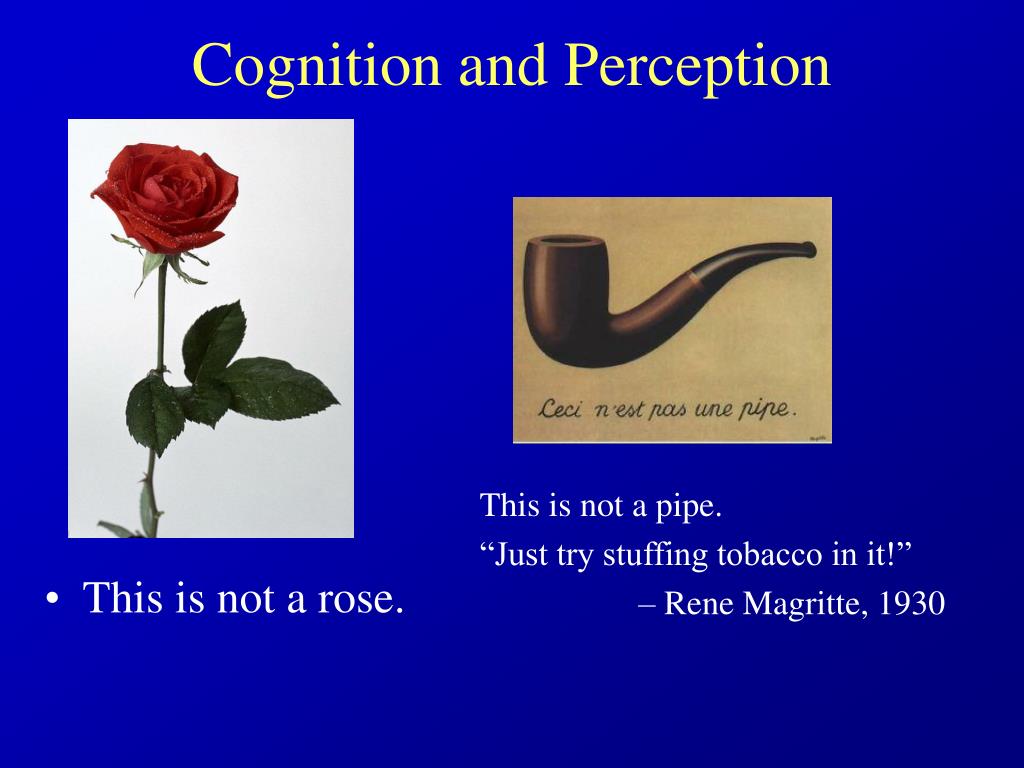 PPT - Cognition and Perception PowerPoint Presentation, free download ...