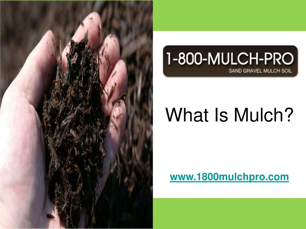 PPT - What Is Mulch PowerPoint Presentation, free download - ID:62953
