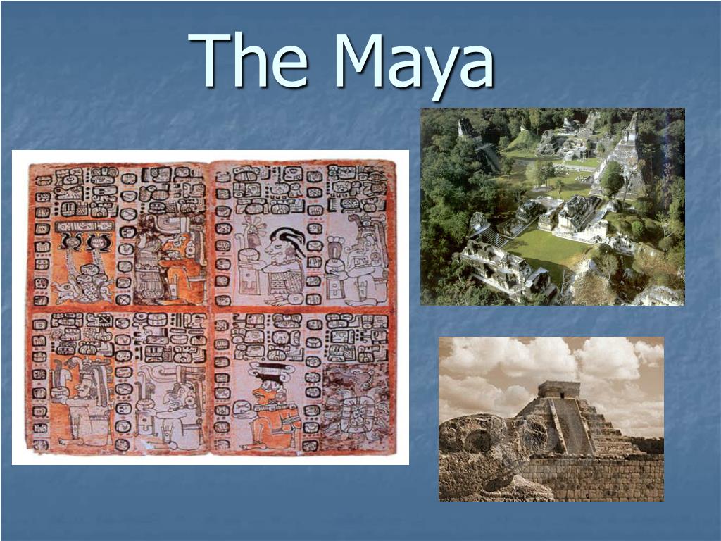 PPT - The Maya PowerPoint Presentation, free download - ID:63347
