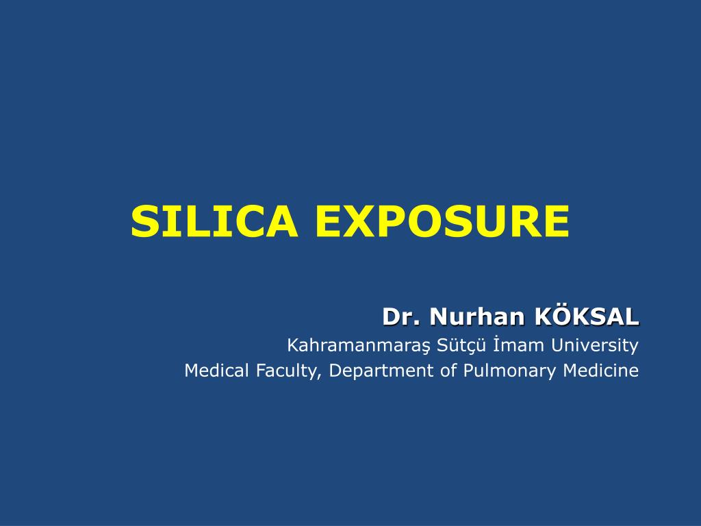 PPT - SILICA EXPOSURE PowerPoint Presentation, free download - ID:633529