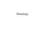 PPT - Homology vs. Analogy PowerPoint Presentation, free download - ID ...