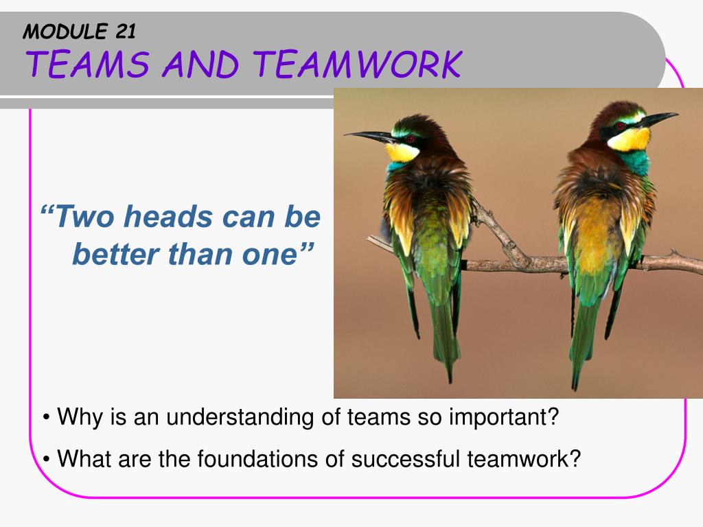 PPT - MODULE 21 TEAMS AND TEAMWORK PowerPoint Presentation, free ...