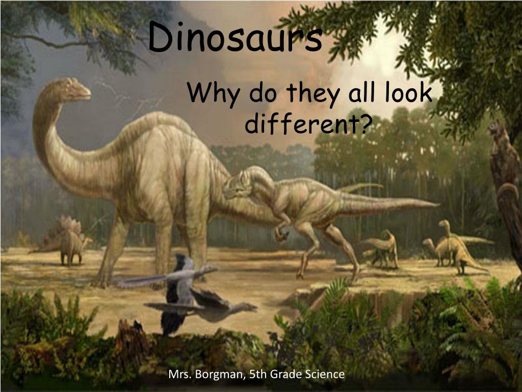 PPT - Dinosaurs PowerPoint Presentation, free download - ID:635817