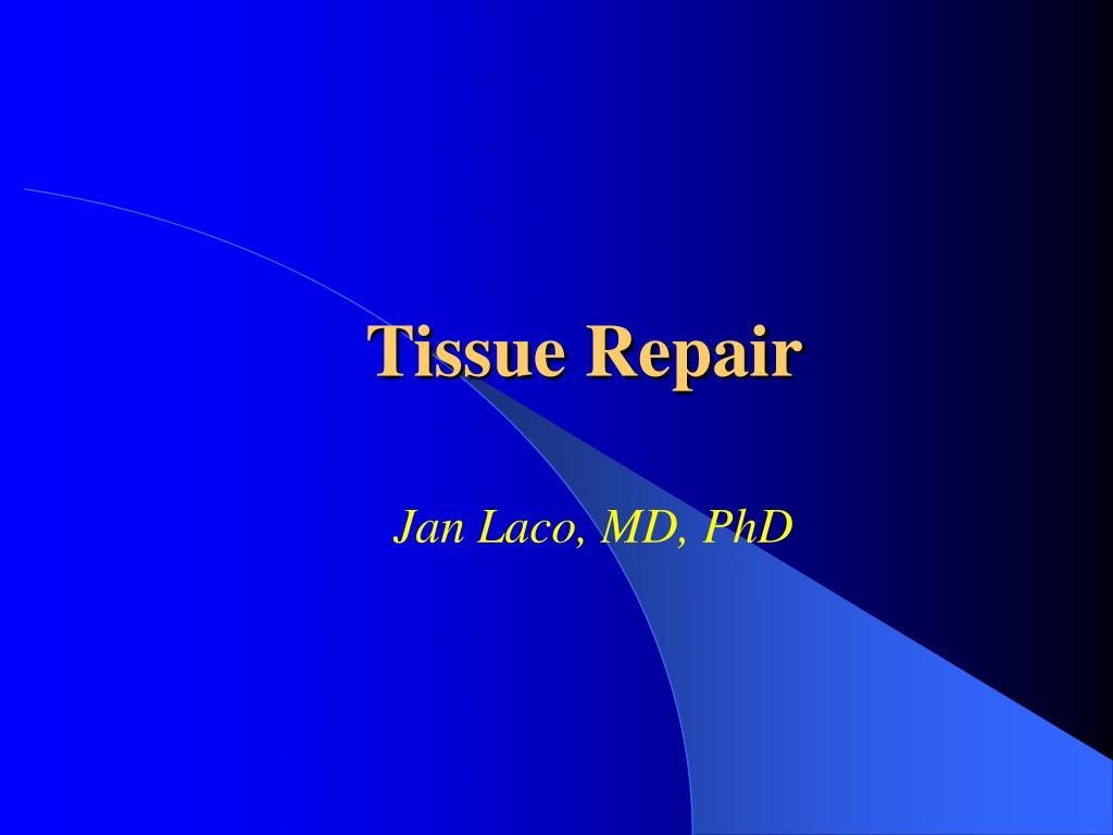 PPT - Tissue Repair PowerPoint Presentation, free download - ID:635950