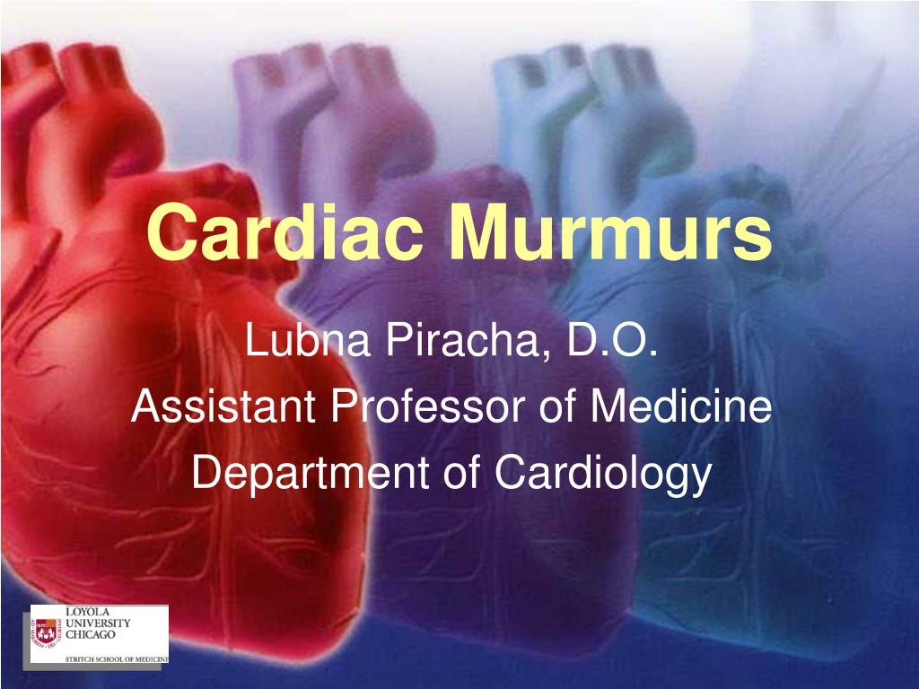 PPT - Cardiac Murmurs PowerPoint Presentation, free download - ID:637149