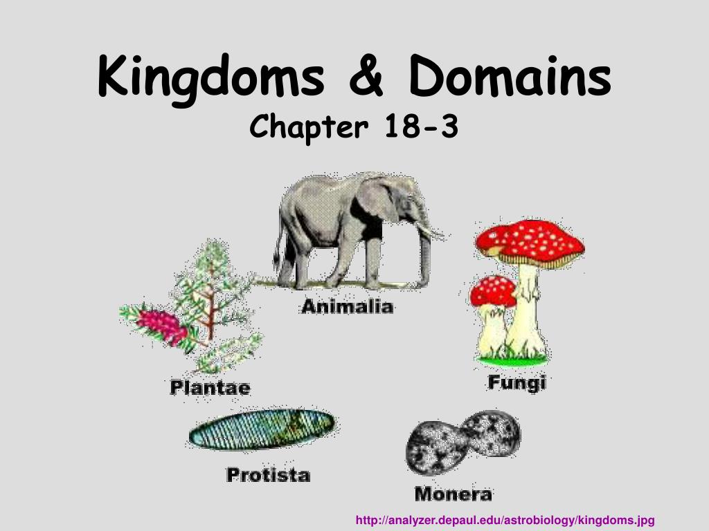 PPT - Kingdoms & Domains Chapter 18-3 PowerPoint Presentation, free ...