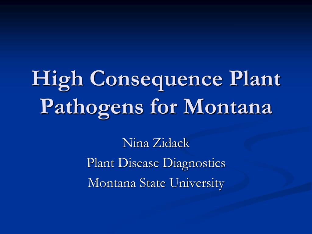 PPT - High Consequence Plant Pathogens for Montana PowerPoint ...