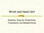 PPT - WRIST & HAND PowerPoint Presentation, free download - ID:4595290