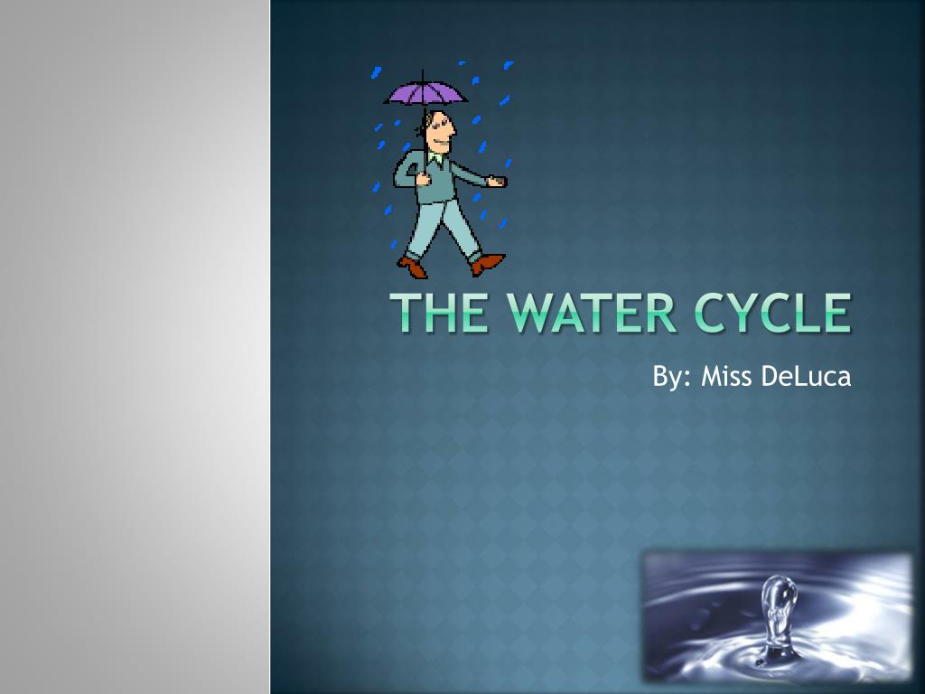 PPT - The Water Cycle PowerPoint Presentation, free download - ID:641896