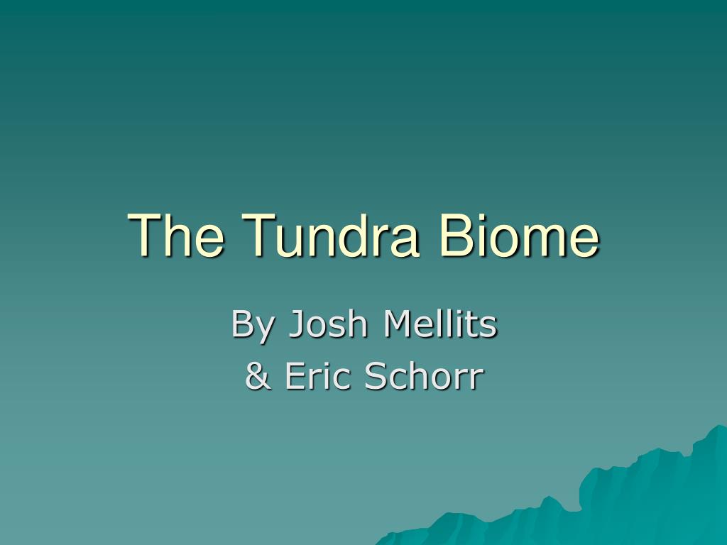 PPT - The Tundra Biome PowerPoint Presentation, free download - ID:641913