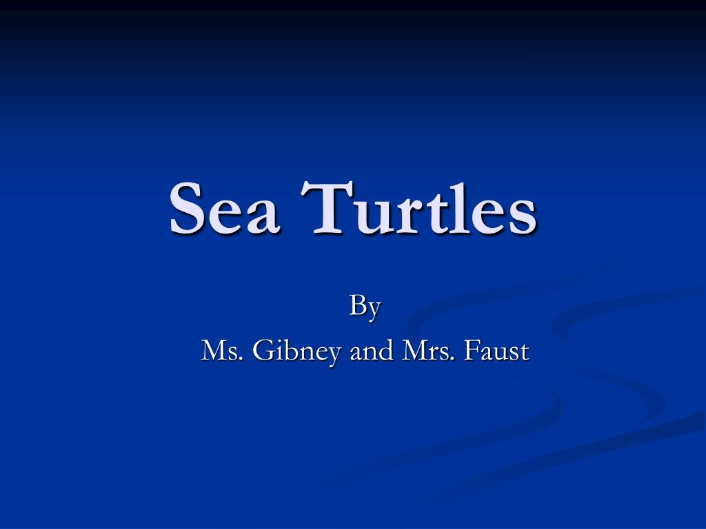 PPT - Sea Turtles PowerPoint Presentation, free download - ID:642955
