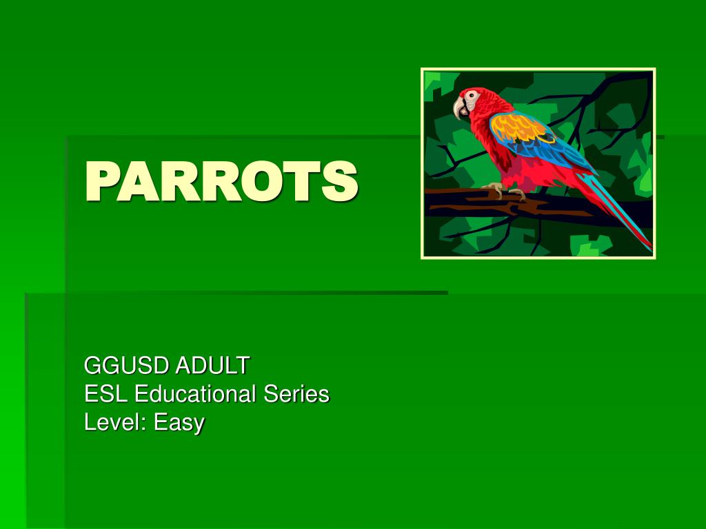 PPT - PARROTS PowerPoint Presentation, free download - ID:646