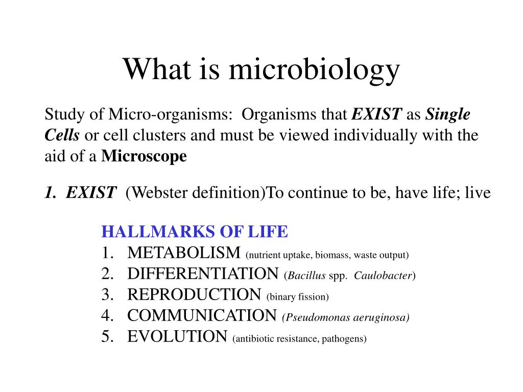 PPT - What is microbiology PowerPoint Presentation, free download - ID ...