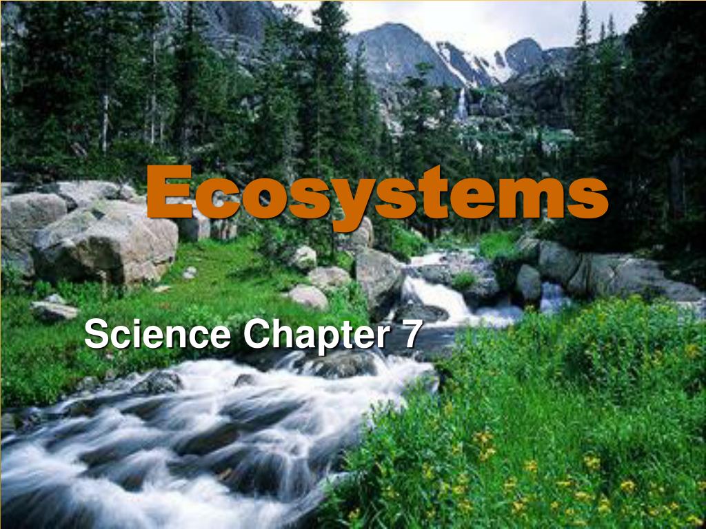 PPT - Ecosystems PowerPoint Presentation, free download - ID:647803