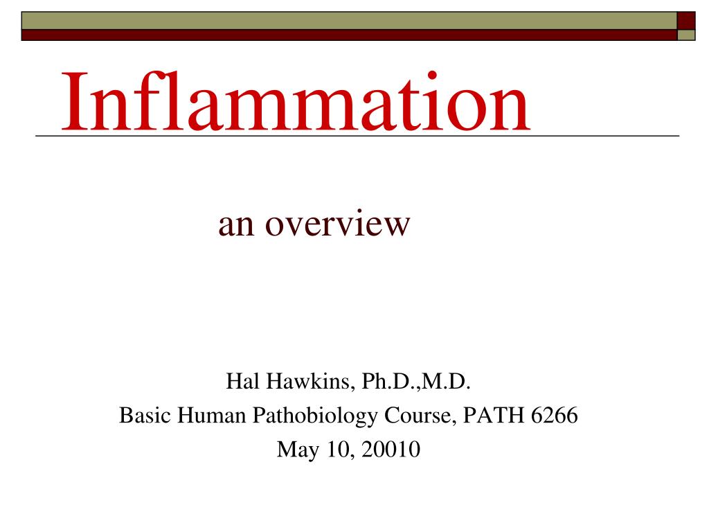 PPT - Inflammation an overview PowerPoint Presentation, free download ...