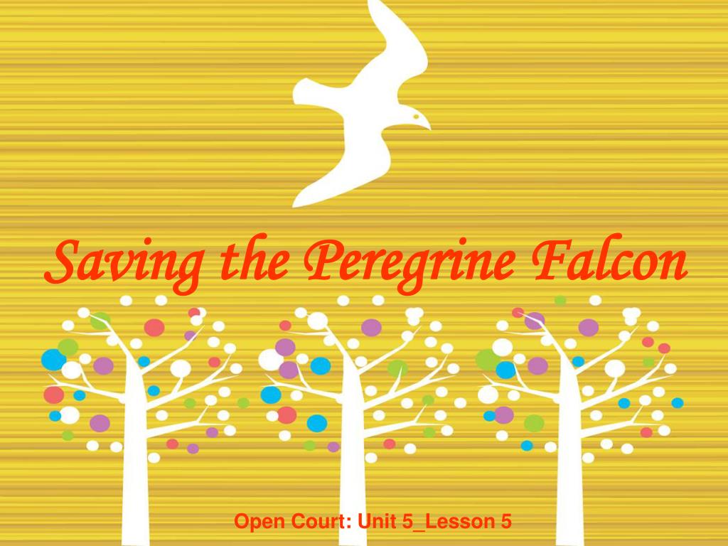 PPT - Saving the Peregrine Falcon PowerPoint Presentation, free ...