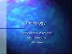 PPT - Pediatric Pathology PowerPoint Presentation, free download - ID ...