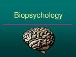 PPT - Biopsychology of Emotion PowerPoint Presentation, free download ...