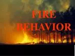 PPT - Fire Behavior PowerPoint Presentation, free download - ID:317412