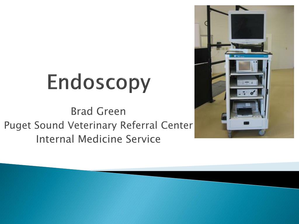 PPT - Endoscopy PowerPoint Presentation, free download - ID:649948