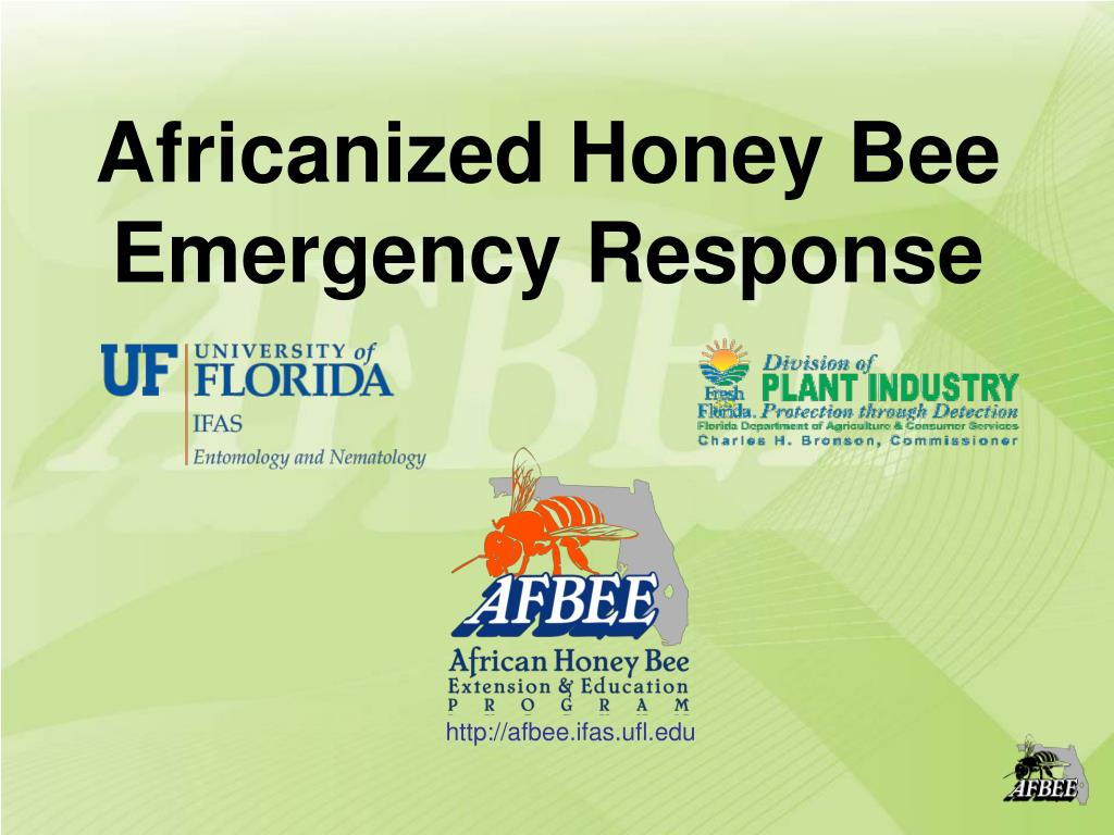 PPT - Africanized Honey Bee Emergency Response PowerPoint Presentation ...