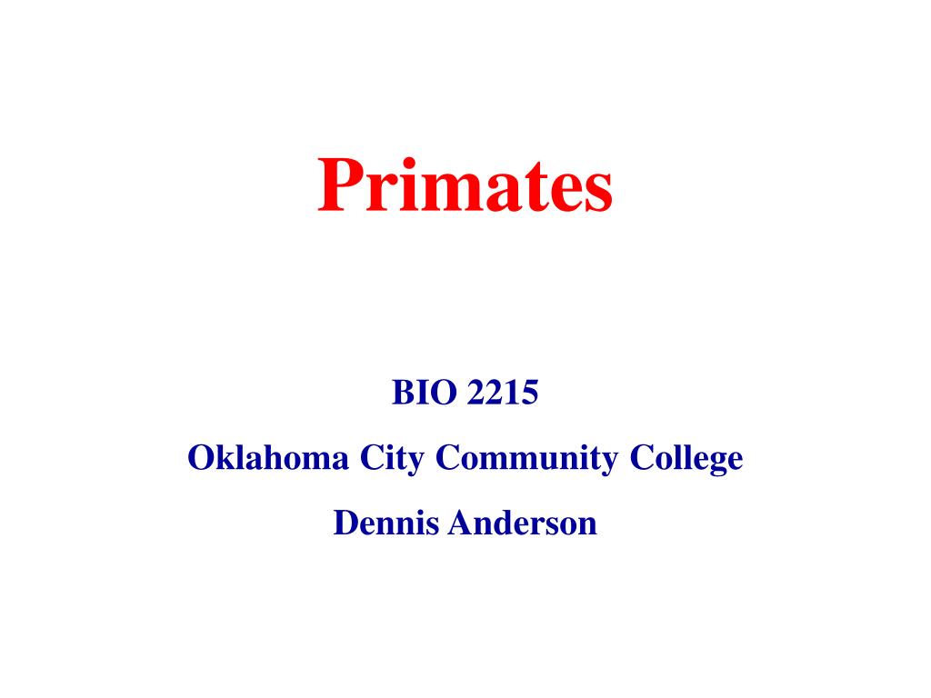 PPT - Primates PowerPoint Presentation, free download - ID:652195
