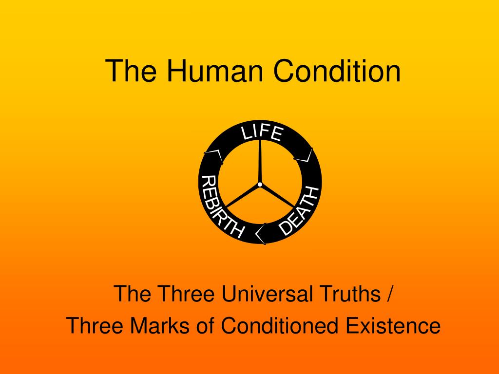 PPT - The Human Condition PowerPoint Presentation, free download - ID ...