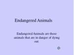 PPT - Endangered Animals PowerPoint Presentation, free download - ID:651915