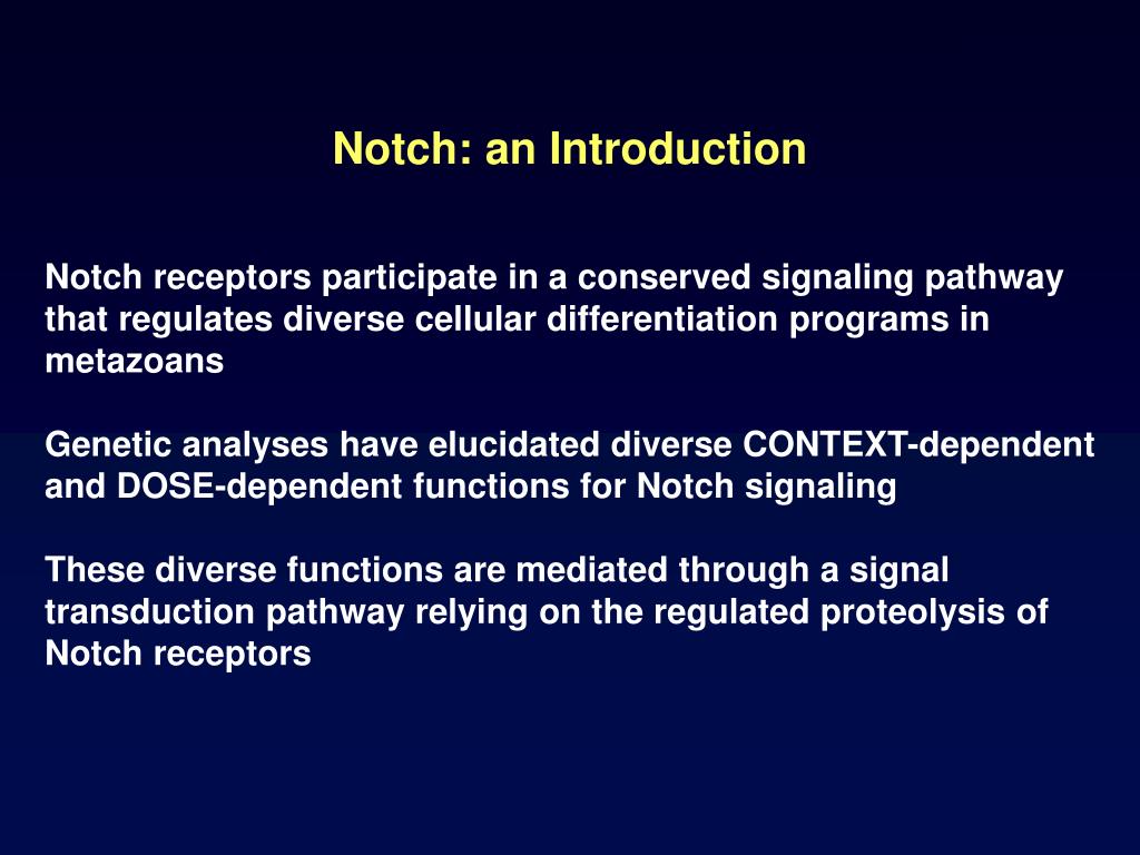 PPT - Notch: an Introduction PowerPoint Presentation, free download ...