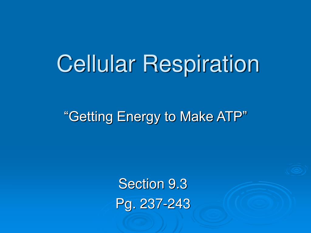 PPT - Cellular Respiration PowerPoint Presentation, free download - ID ...